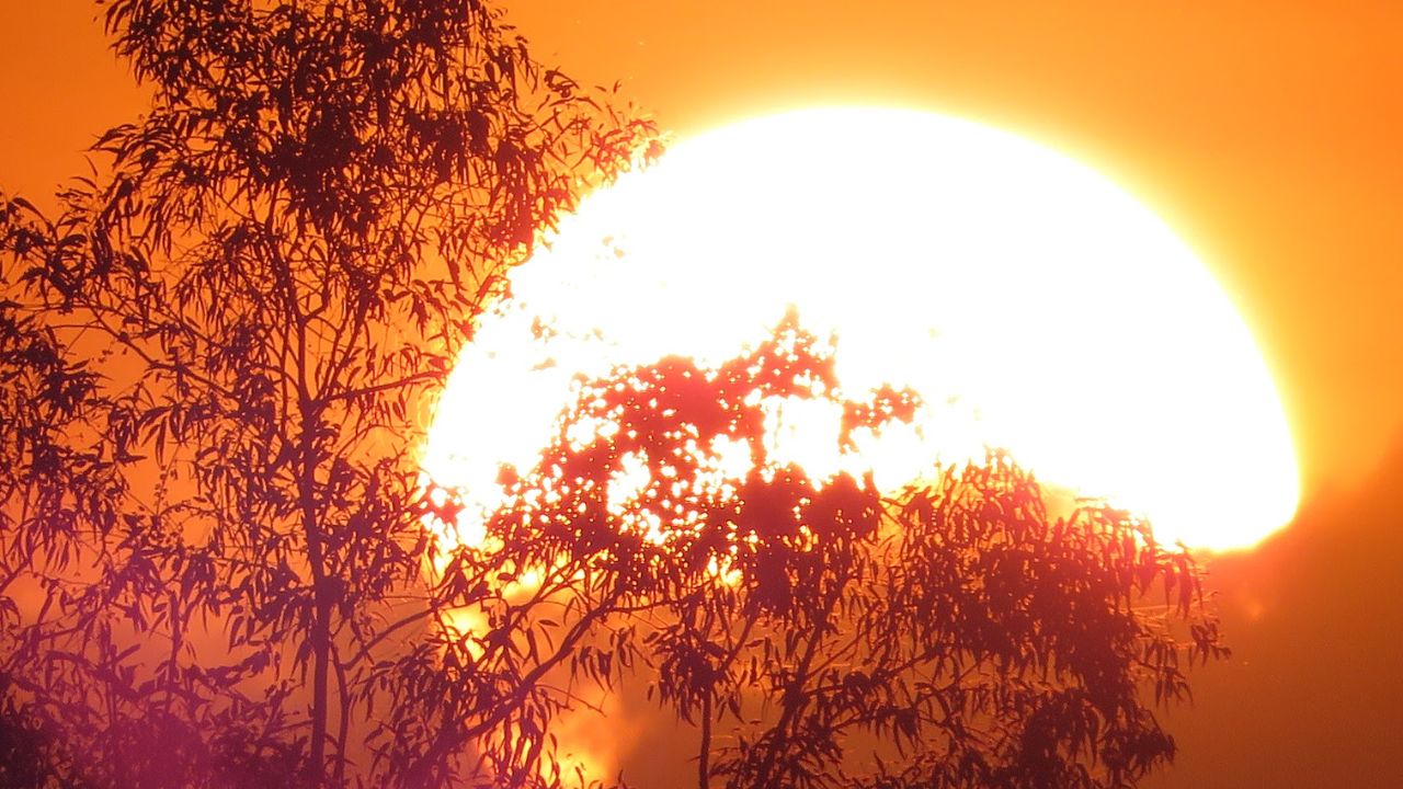¿Cuántos días dura la primavera 2026 en México? Equinoccio, inicio y ...