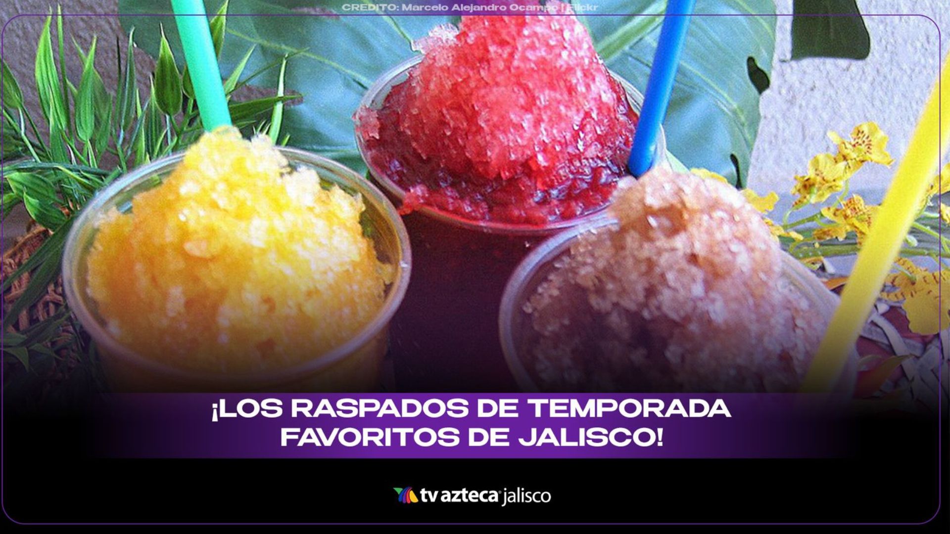 ¿Por qué los raspados son una de las nieves favoritas en Guadalajara ...