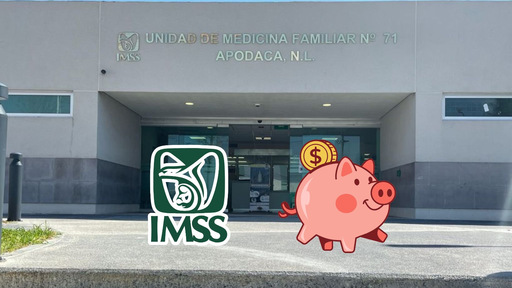IMSS 2024: Fechas de recuperación de pensión y el Afore tras reforma