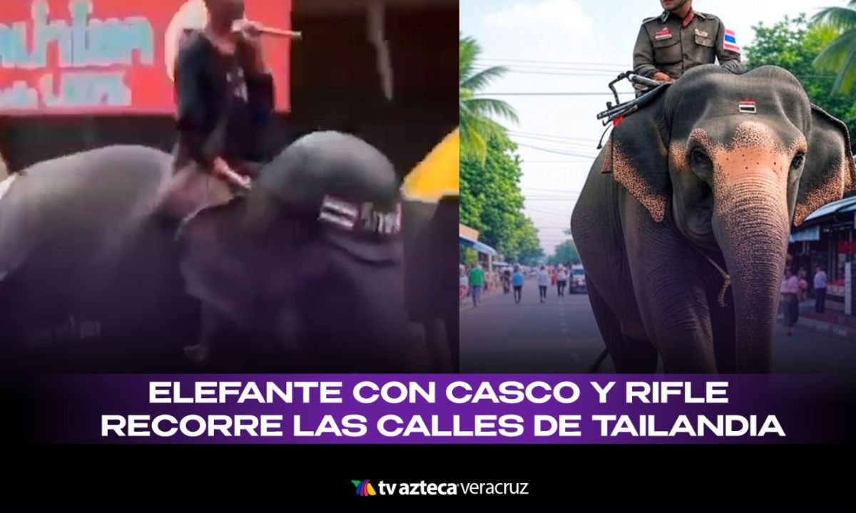 VIDEO VIRAL: Elefante con casco y rifle en Tailandia ¿por qué los usa?