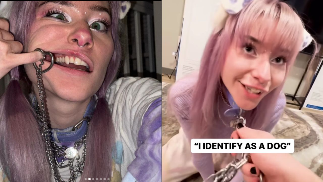 Meow: La influencer que asegura identificarse como perro y duerme en ...