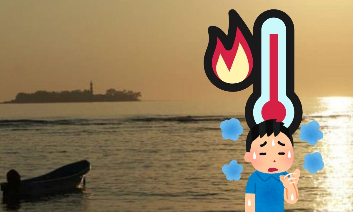 Surada en Veracruz, febrero de 2025: ¿cuándo ingresa el viento del Sur?