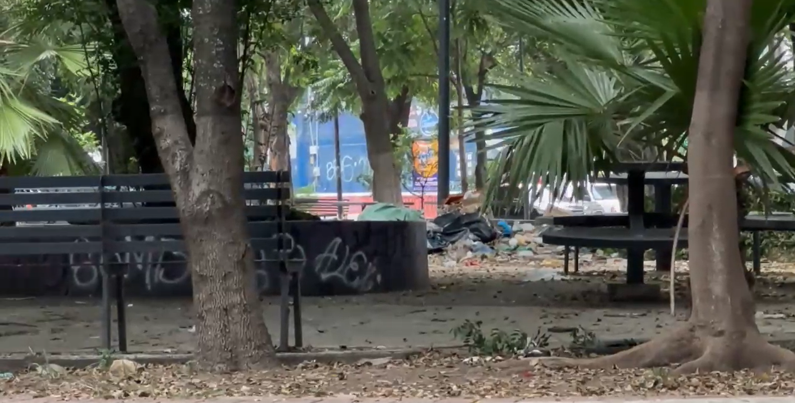 Parque Roberto Montenegro: Basura, Peligro y Abandono en Polanco ...