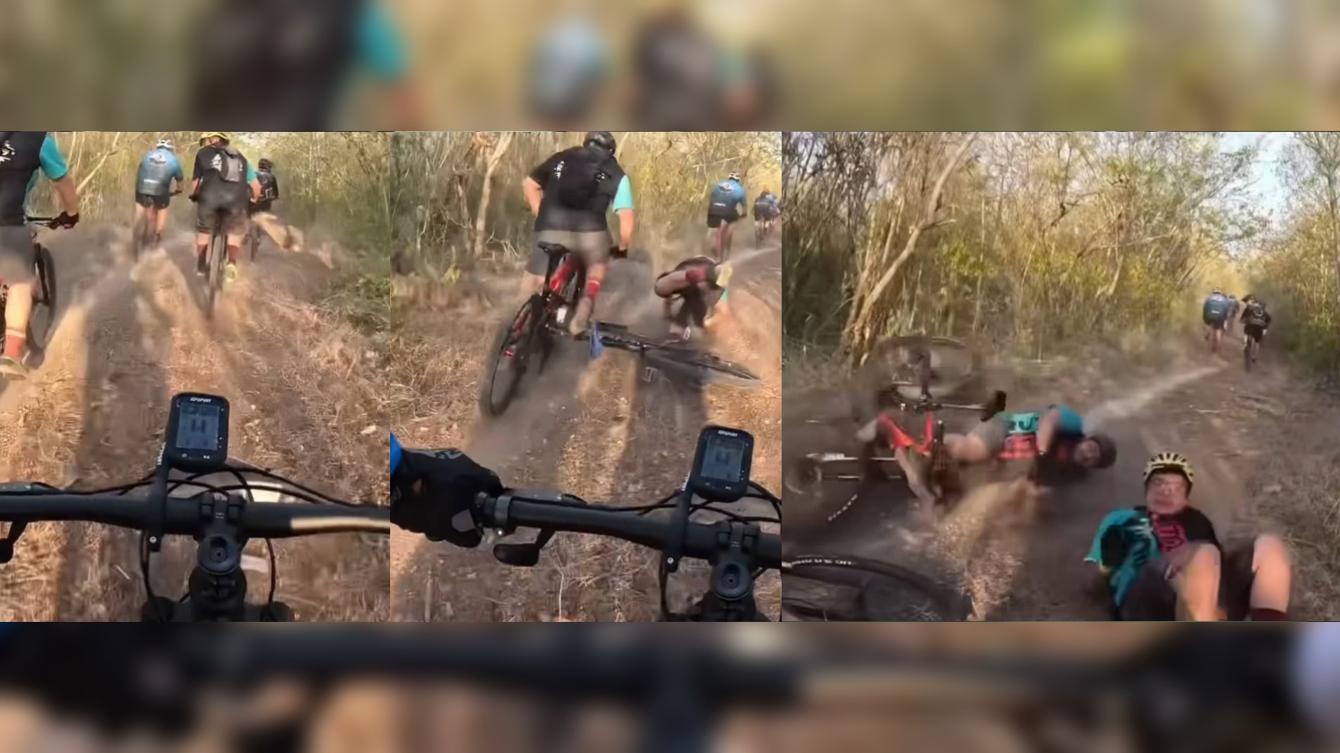 Ciclistas son embestidos por un venado mientras rodaban en un monte de ...