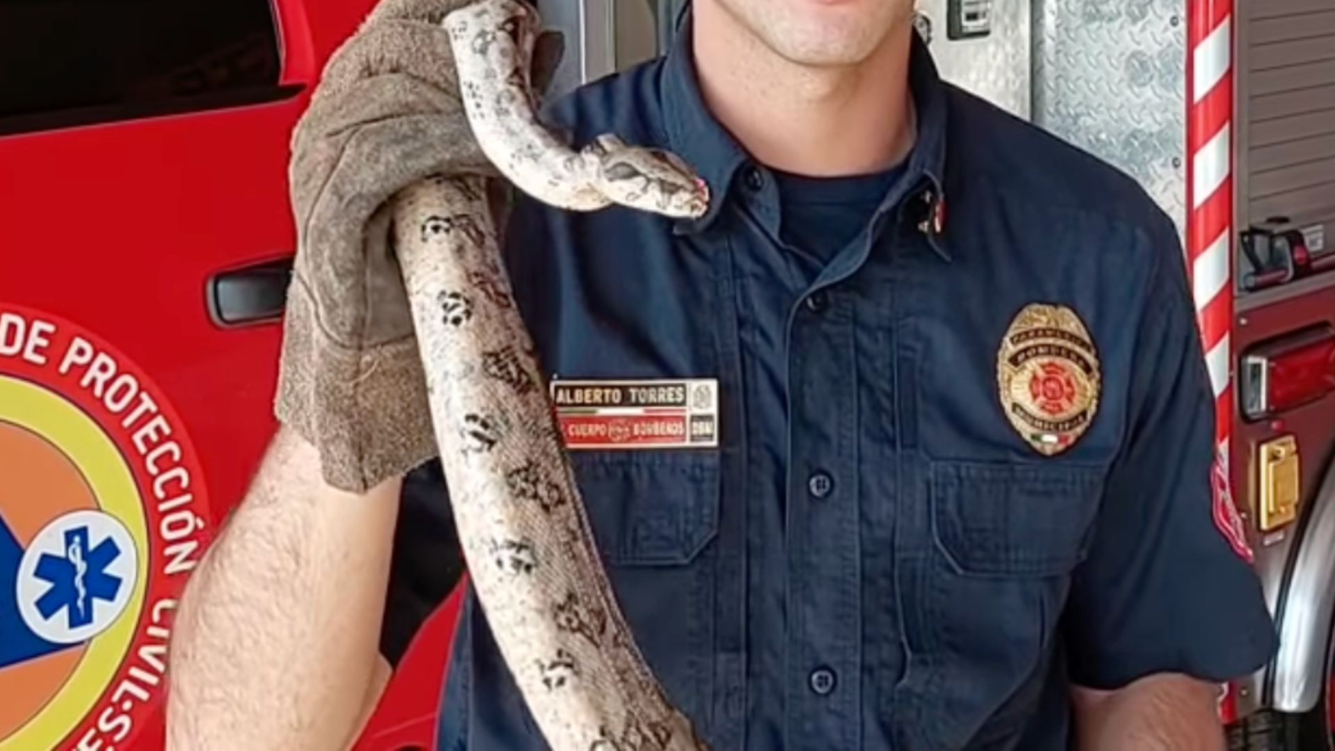 Capturan enorme serpiente pitón en una casa en Aguascalientes