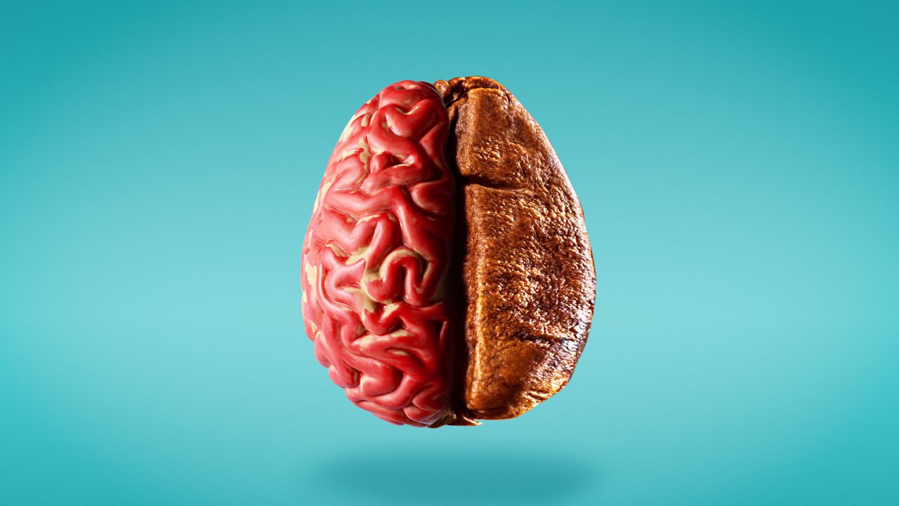 Científicos Revelan Cuales Son Los Mejores Alimentos Para El Cerebro