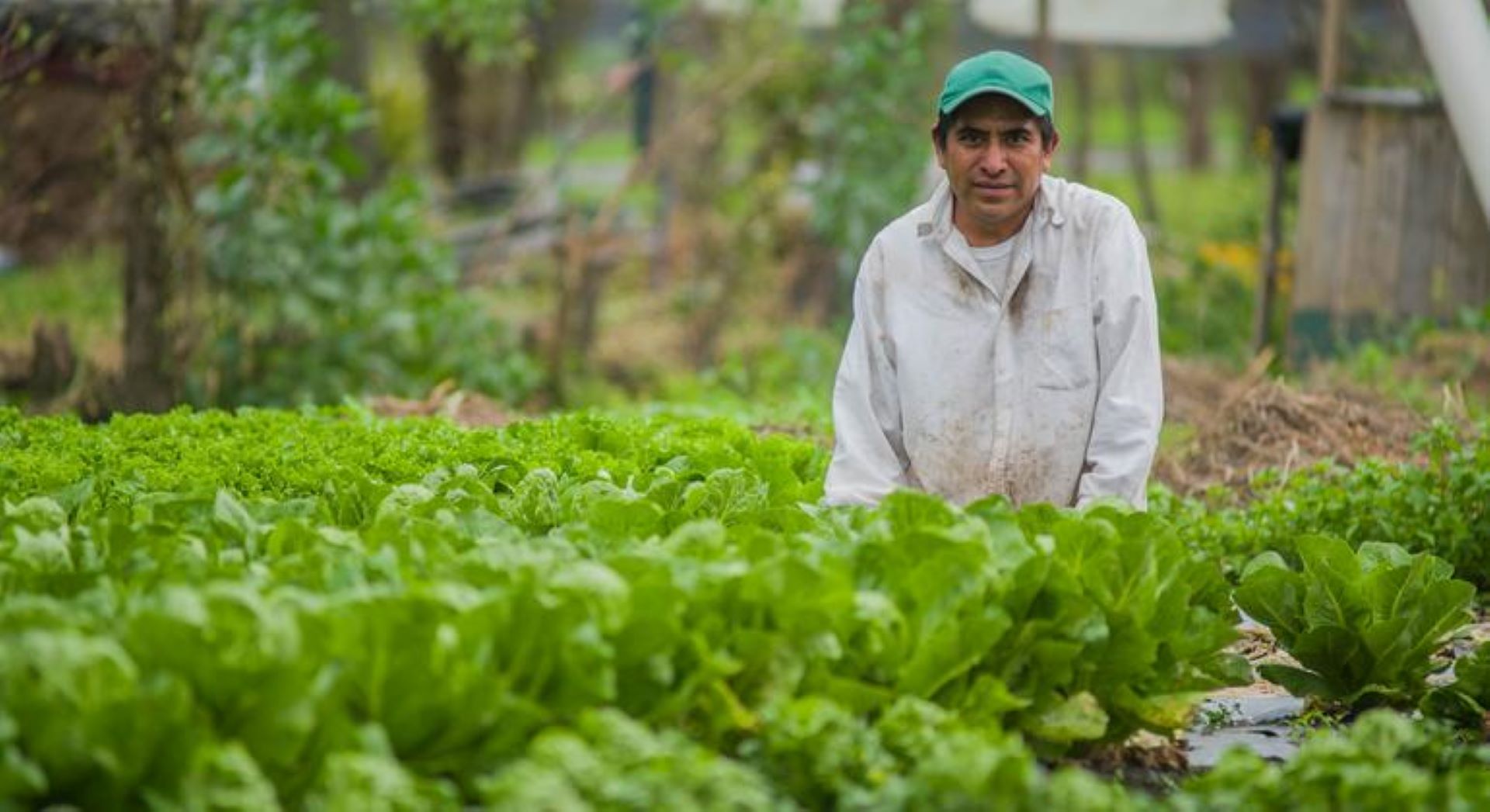 Las chinampas en Xochimilco son el sustento de comunidades agrícolas