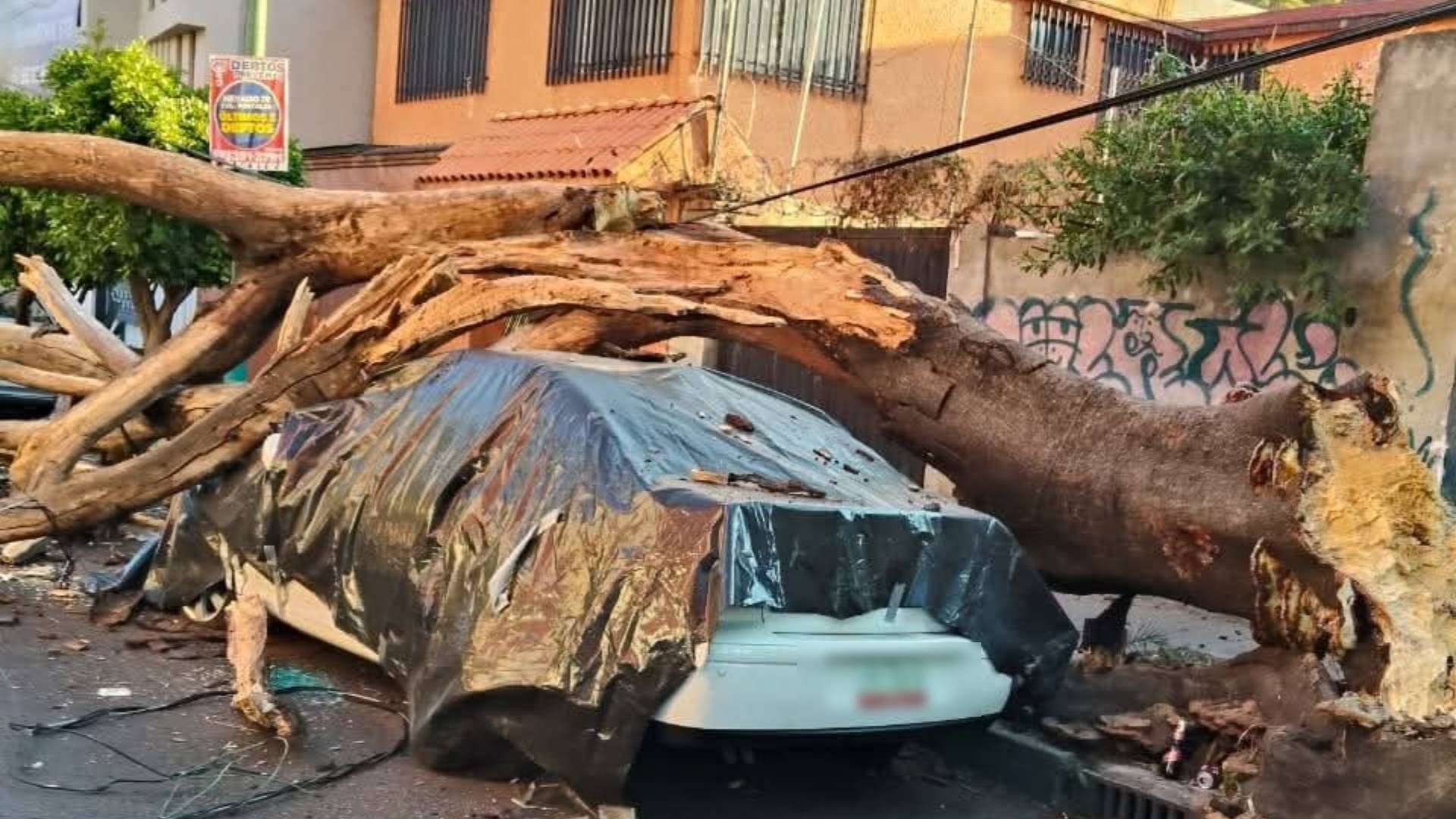 Sismo hoy: Temblor en México deja un muerto