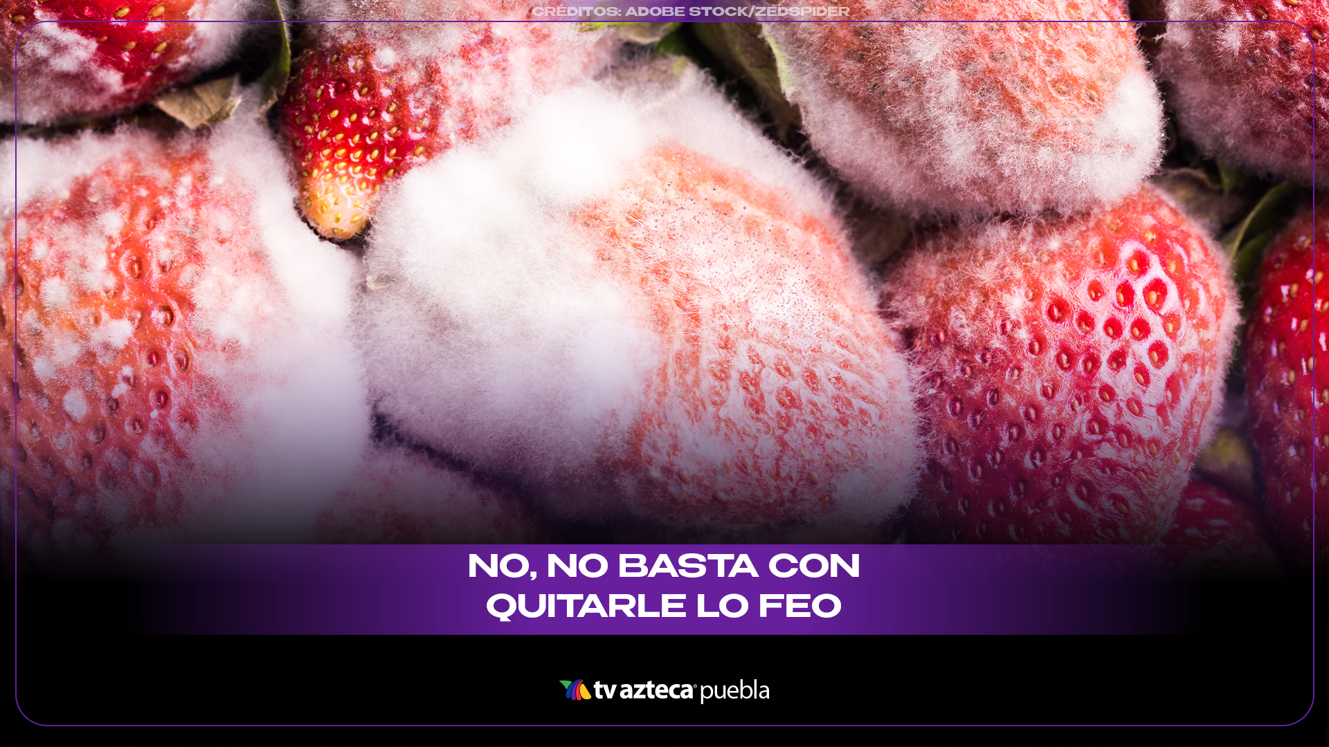 Por qué no debes comer alimentos con moho, aunque los cocines