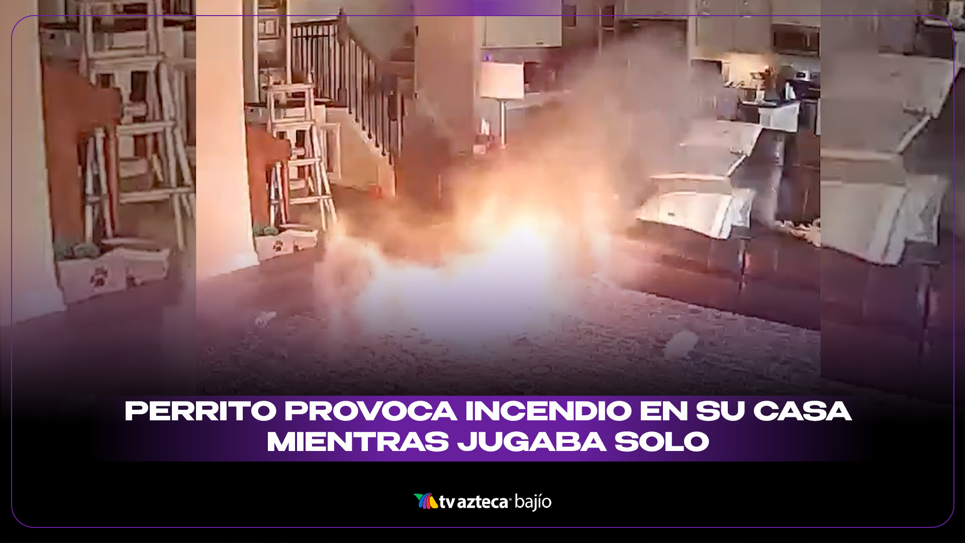 Perrito provoca incendio en su casa mientras jugaba solo