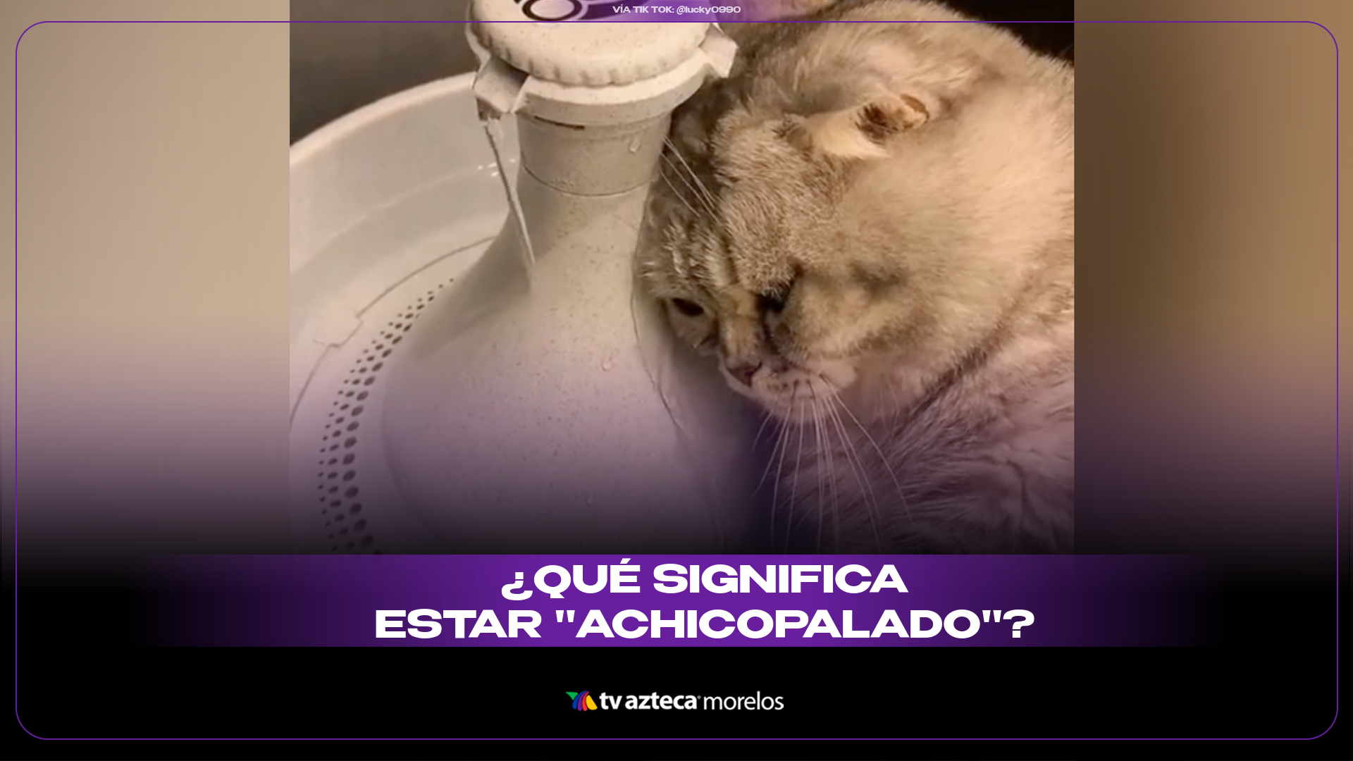 ¿Qué significa estar “achicopalado” en México?