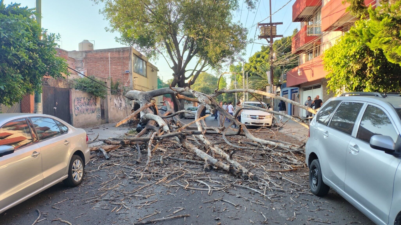 Sismo hoy en México: Temblor en Guerrero activa la alerta sísmica este ...