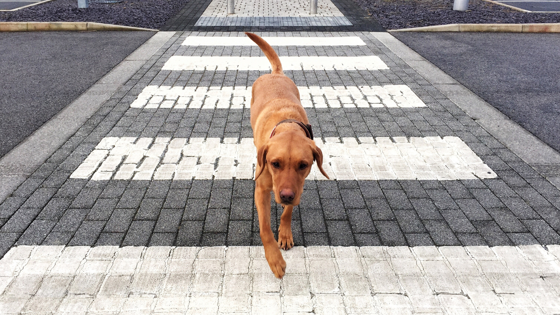 ¿Qué es el espacio Schengen y quién fue el primero en cruzarlo en su apertura en Rumania?