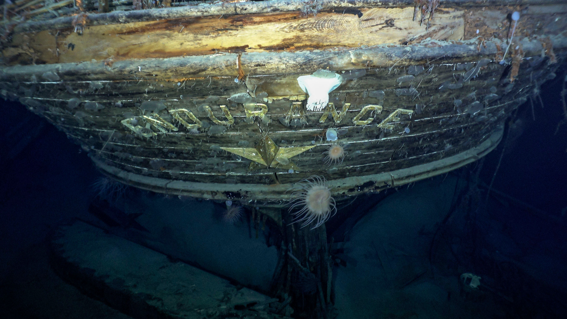 Hallan nave de explorador antártico Shackleton