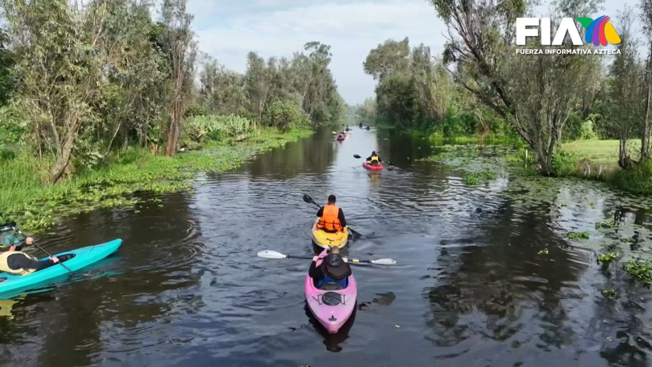 ¿Cuánto cuesta el paseo en kayak en Xochimilco? Así es el amanecer en ...