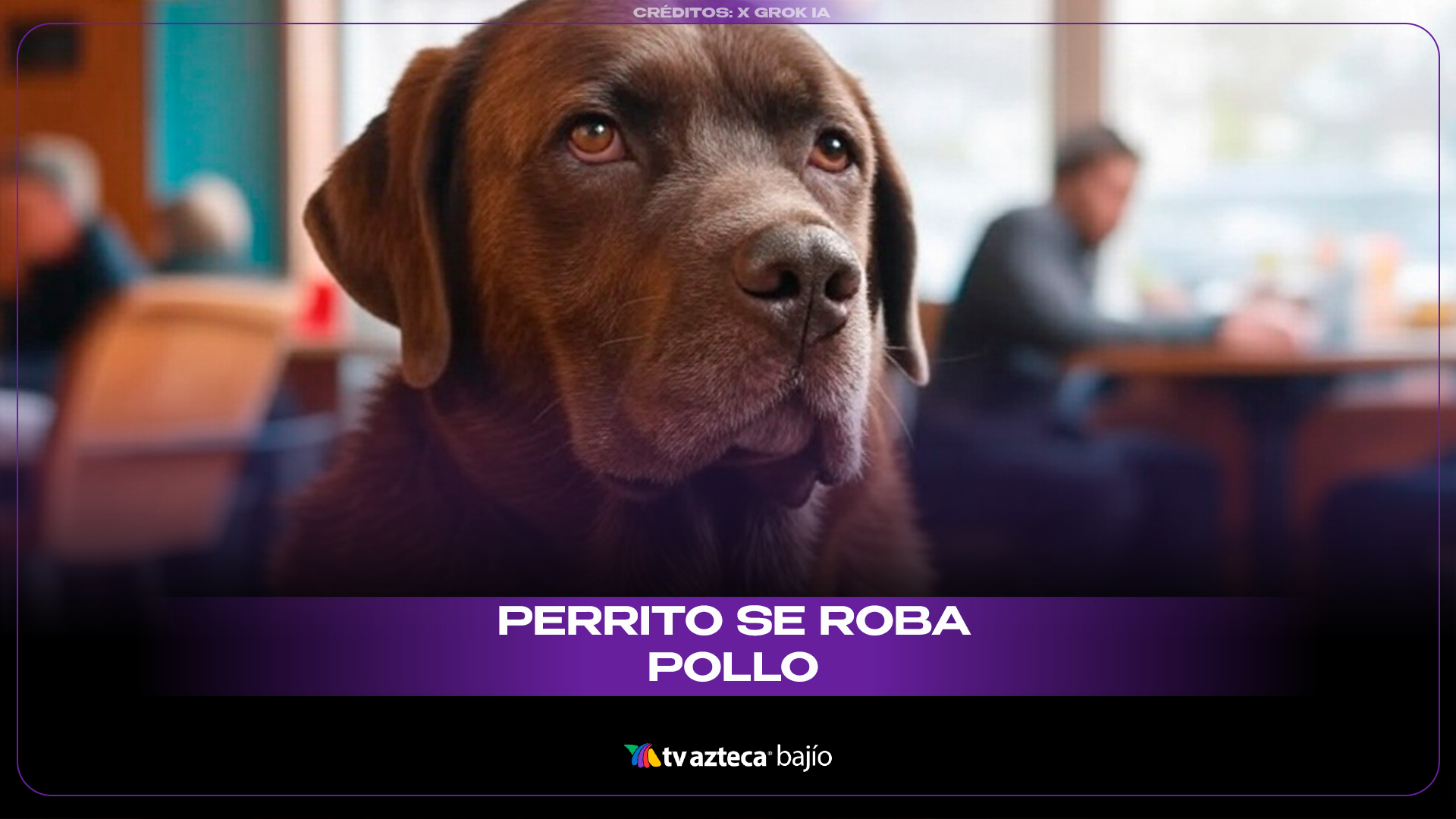 Perrito roba un pollo del carrito de una señora y su hazaña se vuelve ...