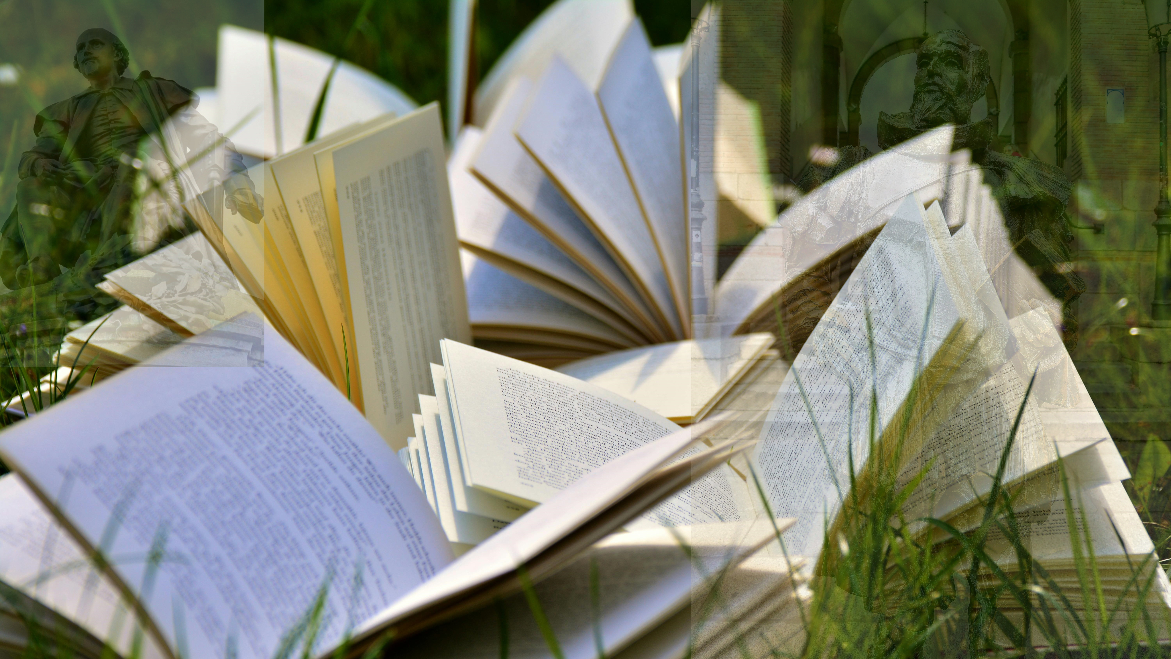 Día del libro 2024: ¿Qué tienen que ver Shakespeare y Cervantes con la ...