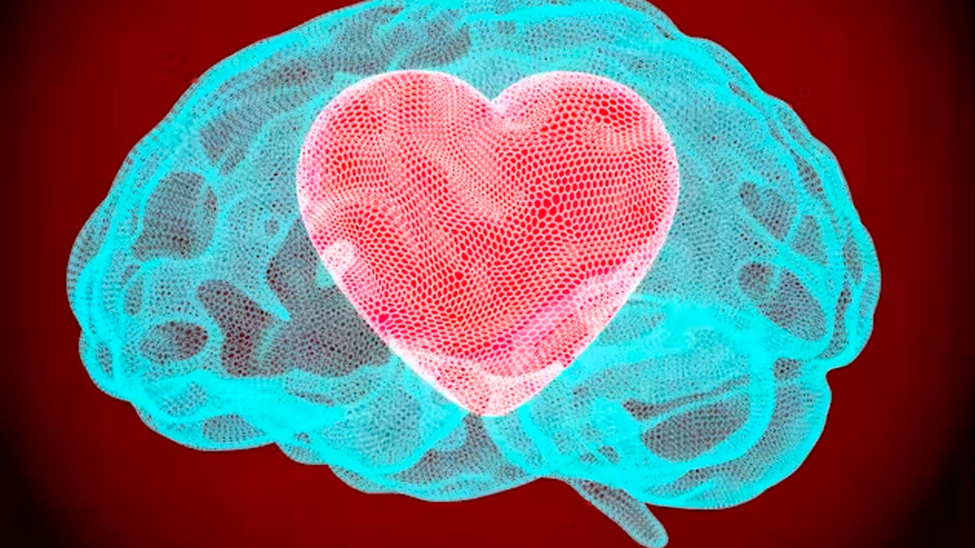 ¿Qué le pasa a tu cuerpo cuando estas enamorado? El amor según la ciencia