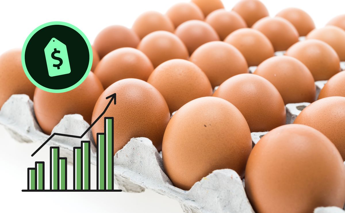 ¿Por qué el precio del huevo aumentó en México este 2023?