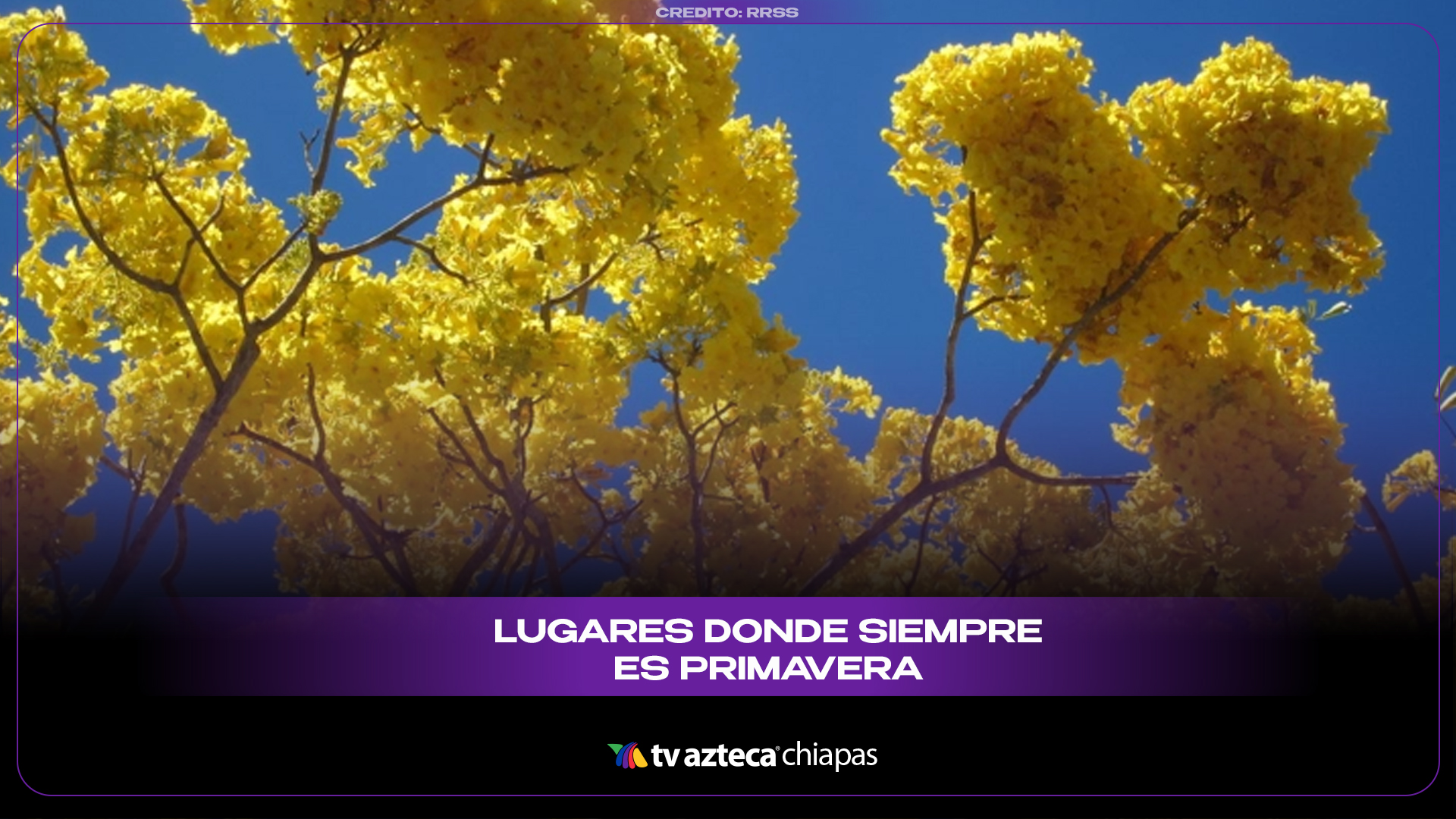 Lugares donde siempre es primavera: ciudades con clima perfecto todo el ...