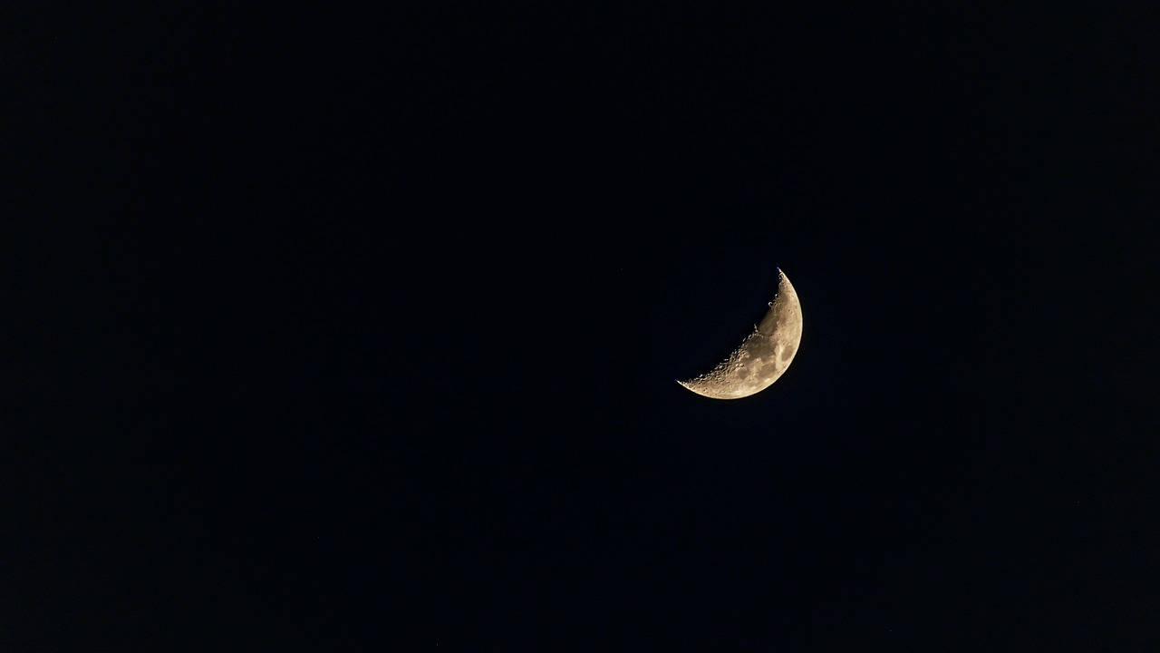 ¿Qué hacer durante cada fase de la luna según el signo zodiacal?