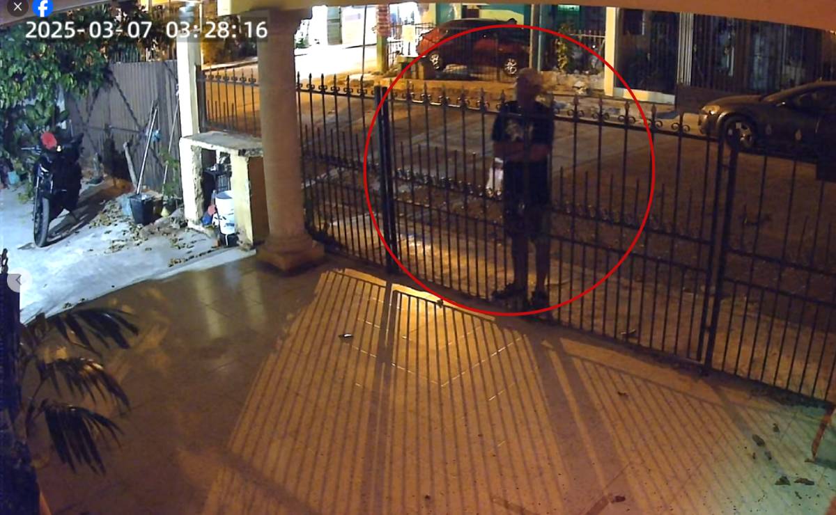 ¿Qué dijo la SSP de la detención de un sujeto que ingresó a predio en ...