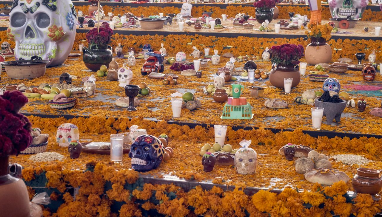 Conoce todas las actividades que habrá en la Megaofrenda 2024 de la UNAM