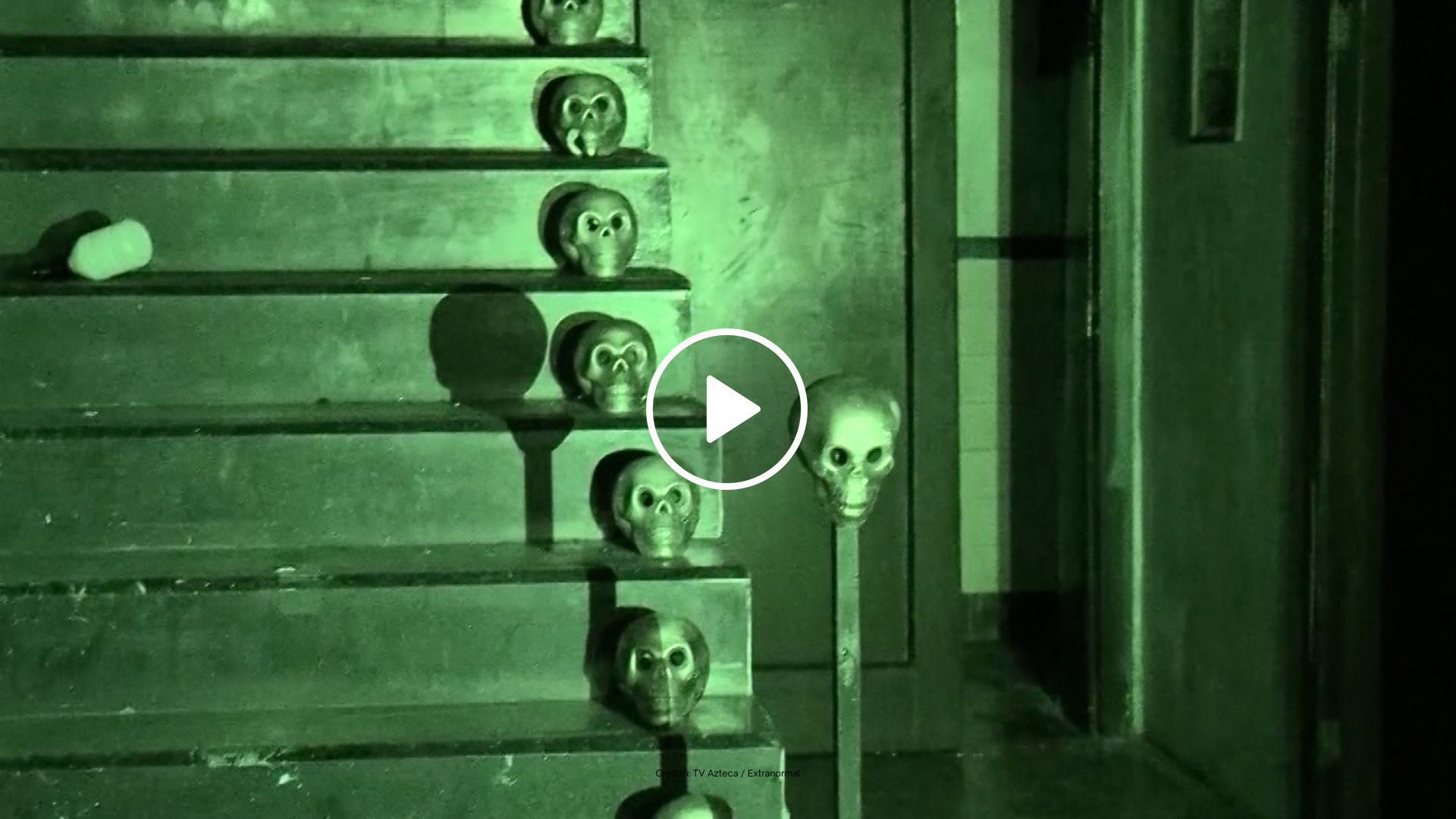 Extranormal | Programa Completo 13 agosto 2023: Rugidos