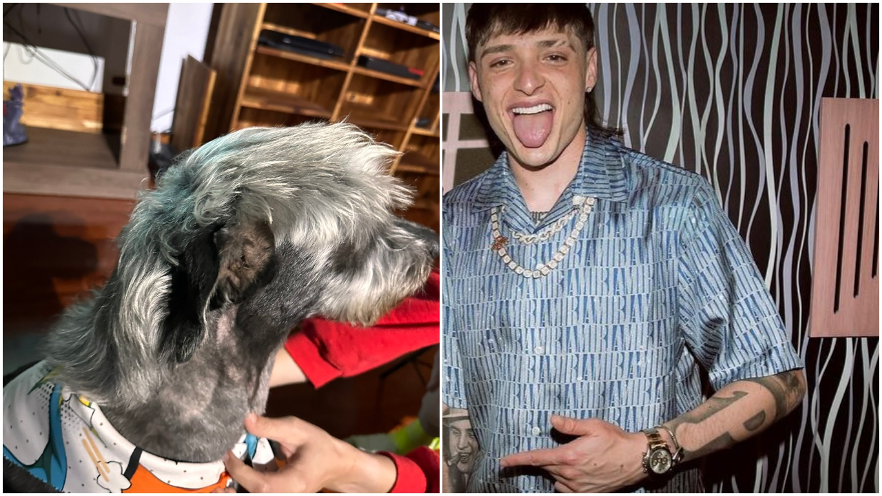 Peso Pluma: el perrito viral que tiene el corte del cantante mexicano