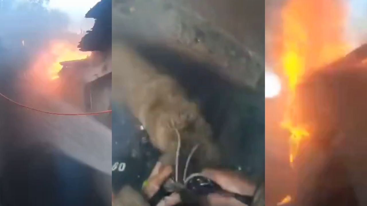 Insólito: Perrito encadenado es salvado en un incendio por bomberos de ...