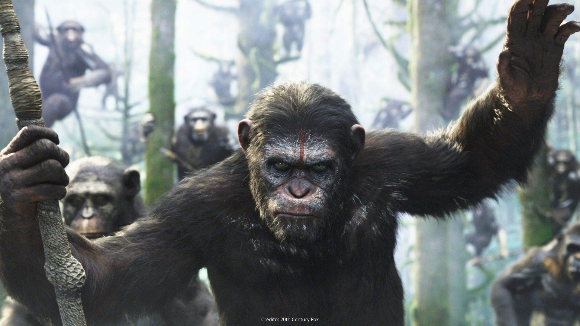 Todo listo para El Planeta De Los Simios 4