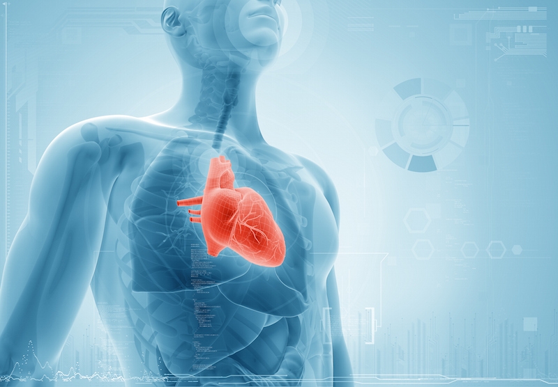 Descubre si tienes un corazón estresado y sus riesgos