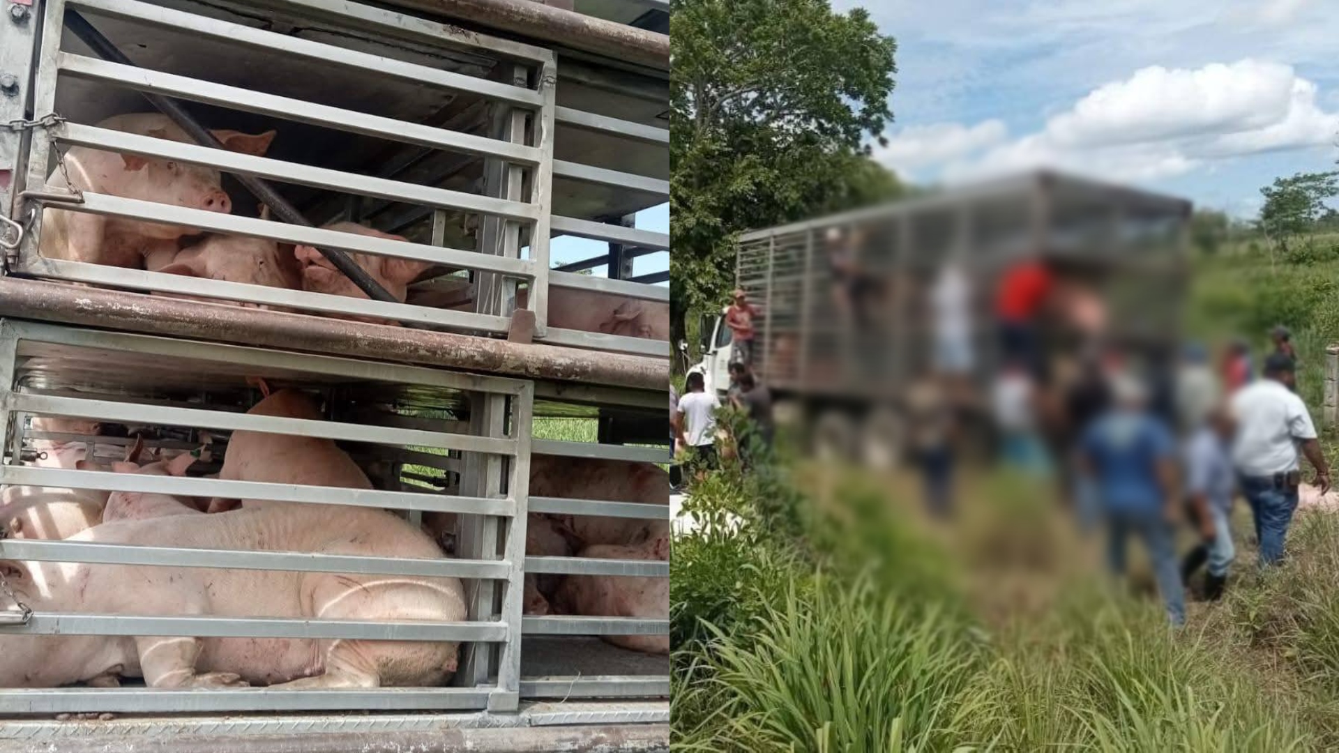 Rapiña en la carretera Villahermosa - Escárcega; un camión que ...