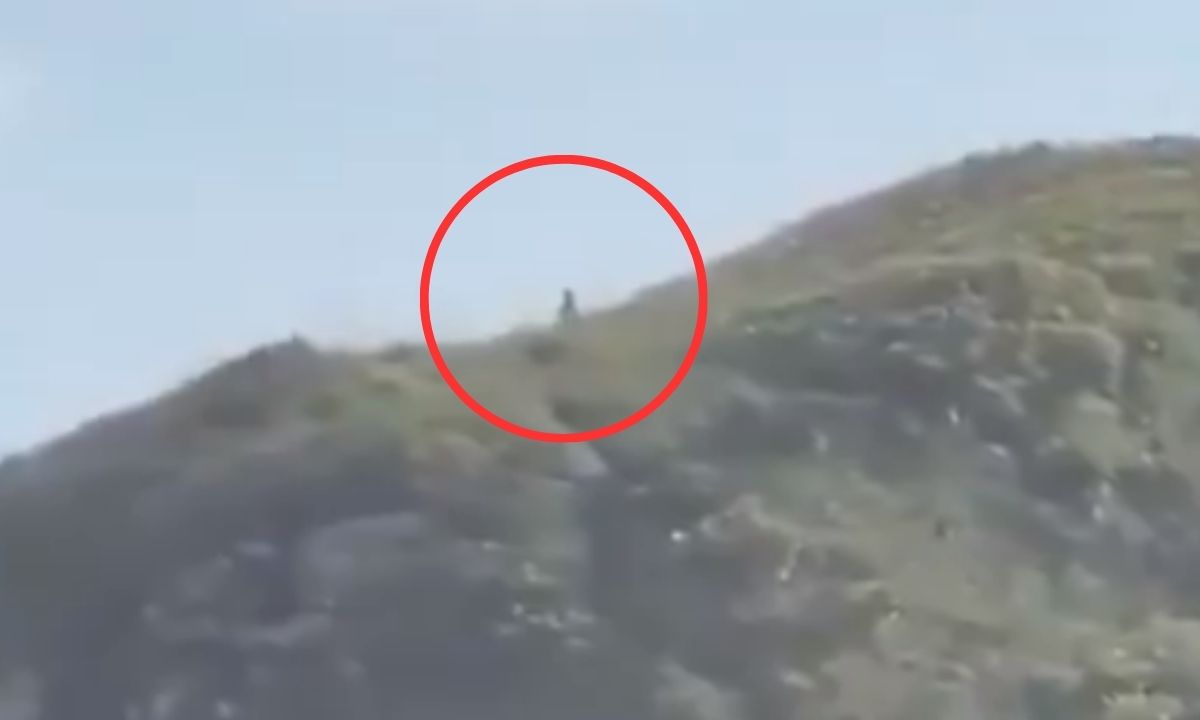 Graban presuntos aliens gigantes en isla de Brasil