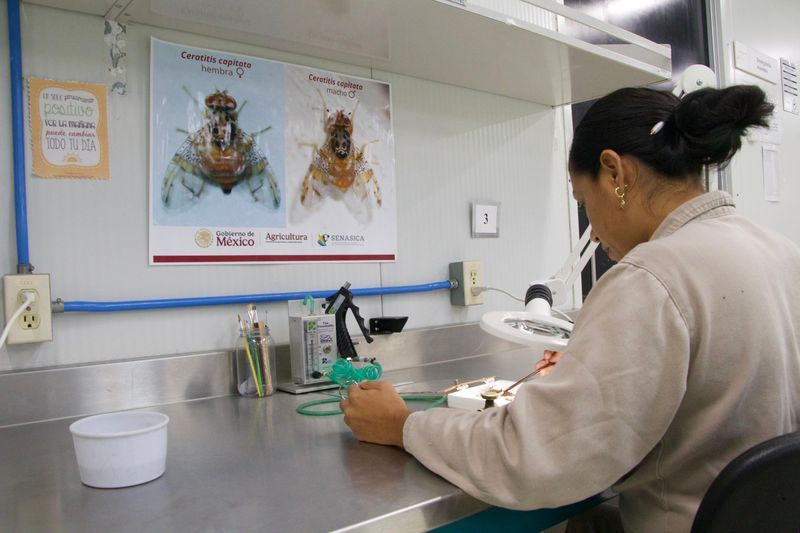 Wannonce gay vendee she pops back and forth between here