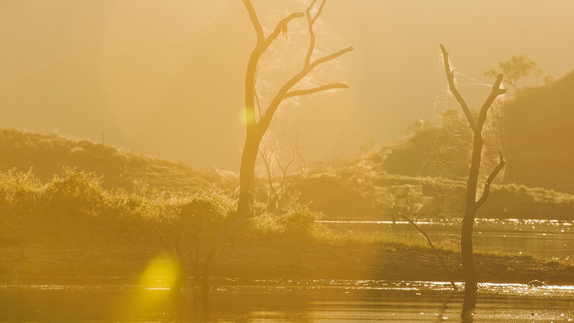 ¿Cuál es la relación del espacio exterior con el cambio climático?
