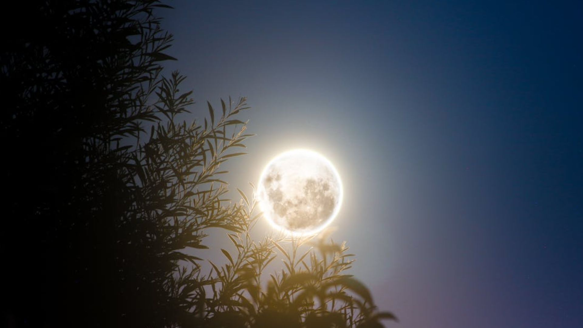 Primera Luna Nueva del 2026: Así marca el inicio del ciclo lunar