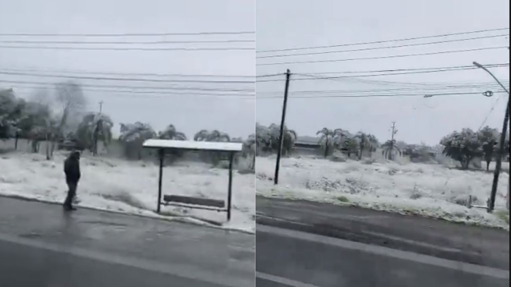️VIDEO: Así fue la caída de nieve en Nuevo León y Tamaulipas