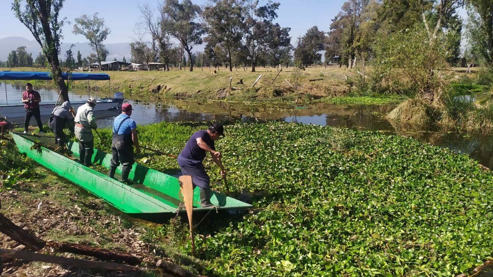 Preservar los canales de Xochimilco