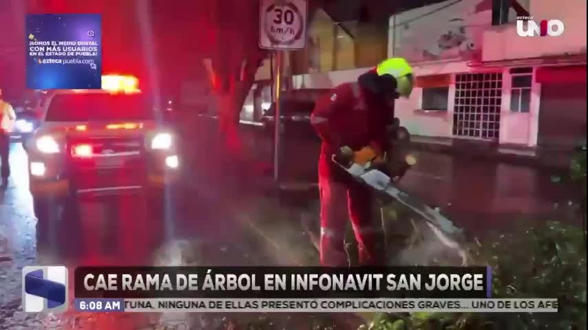 VIDEO: Lluvias provocan caída de rama en el infonavit San Jorge