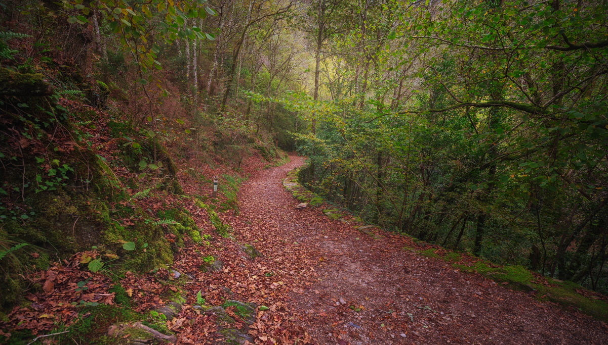 La maravilla natural de España que, según National Geographic, es ideal ...