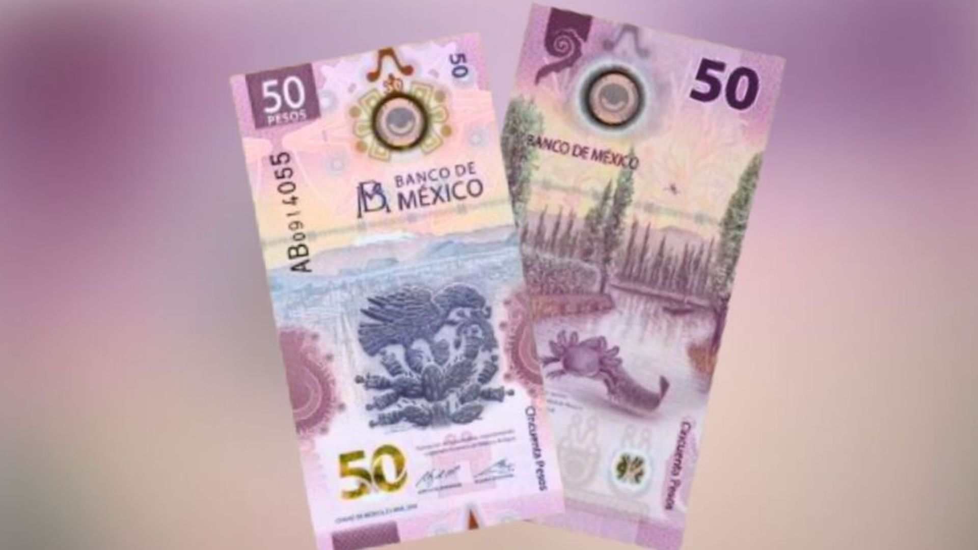 ¿Cómo es el billete de 50 pesos que se vende en 1,5 MDP?