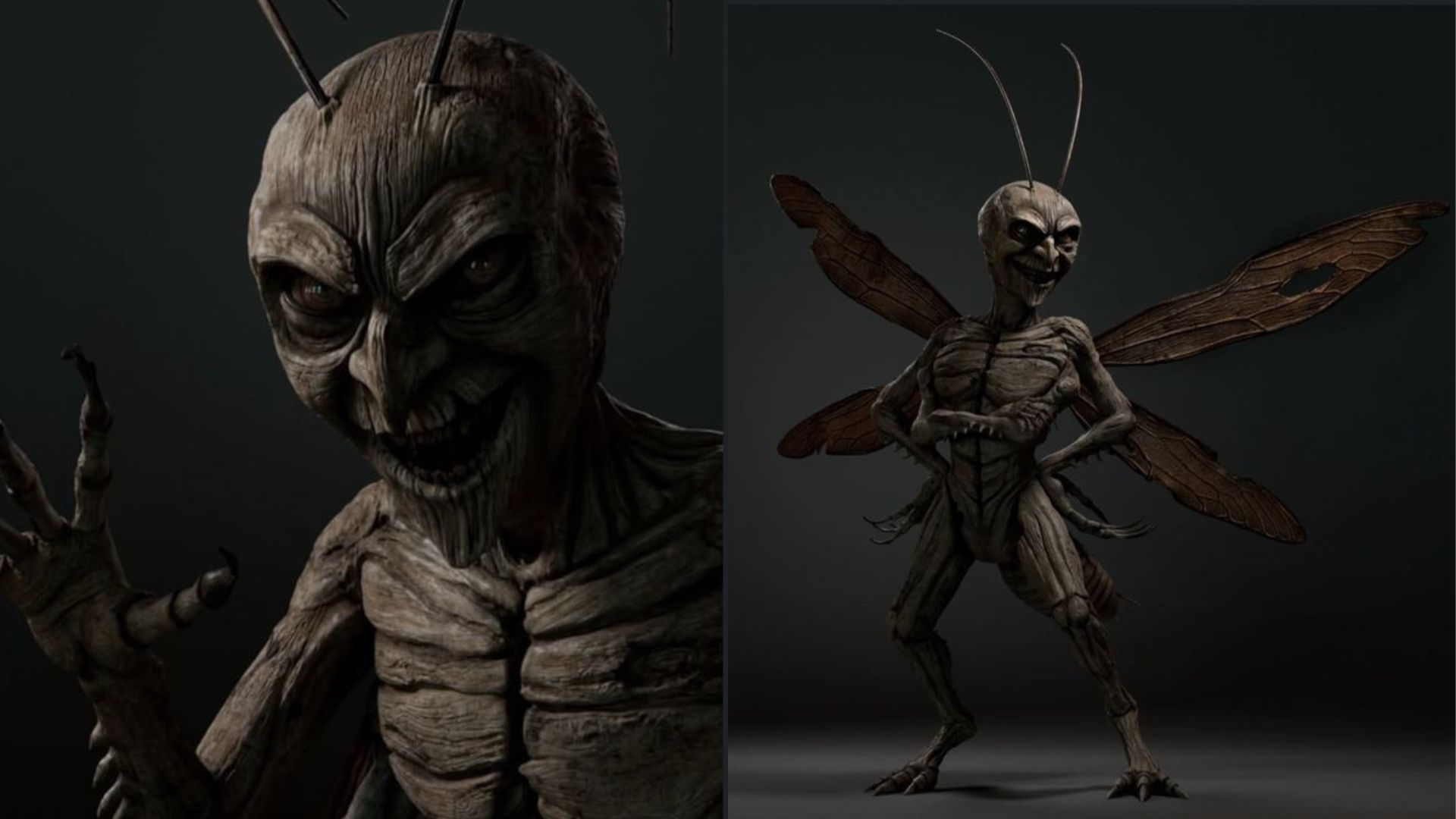 Así luce Pepe El Grillo, quien ahora conocido como “Cricket” en la ...