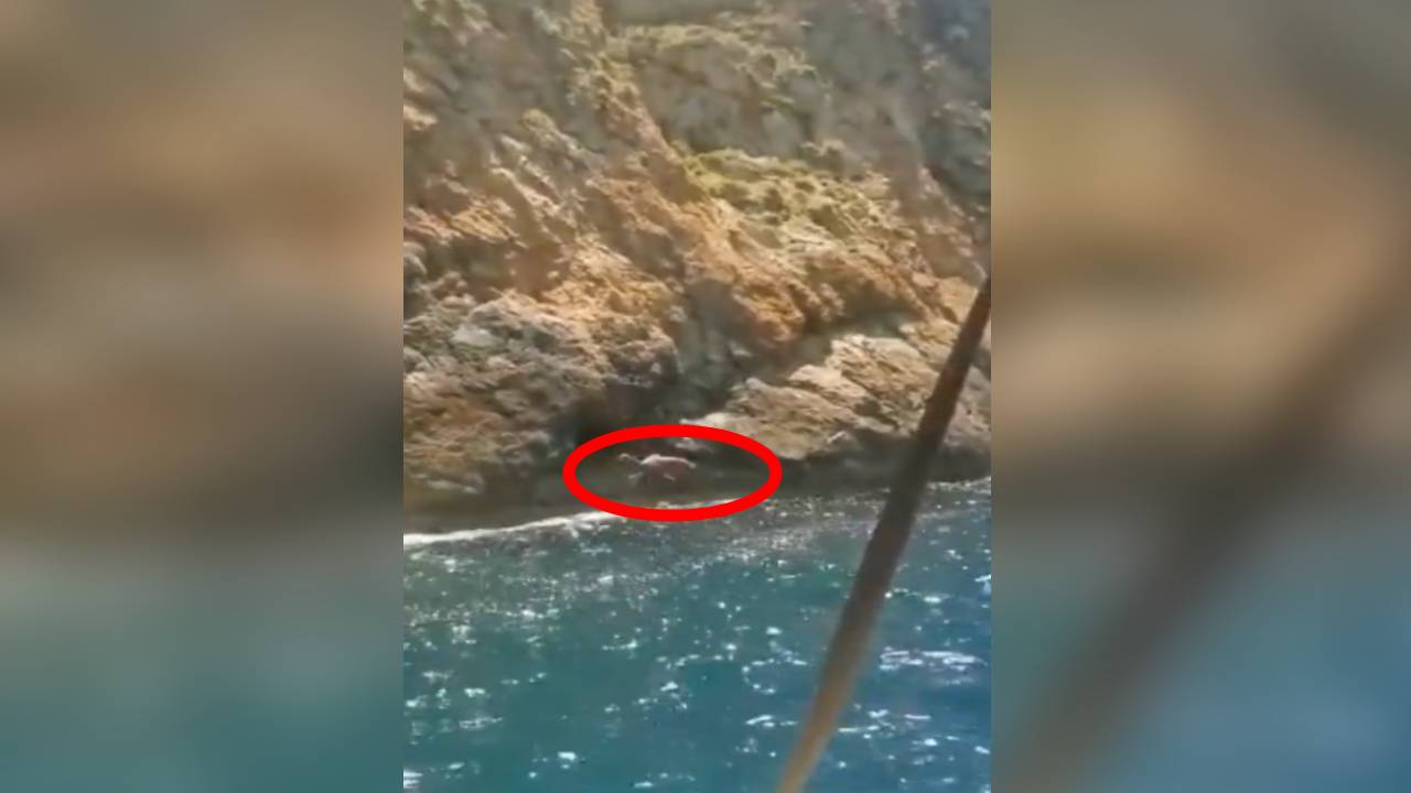 Hombre muere al saltar de acantilado en España