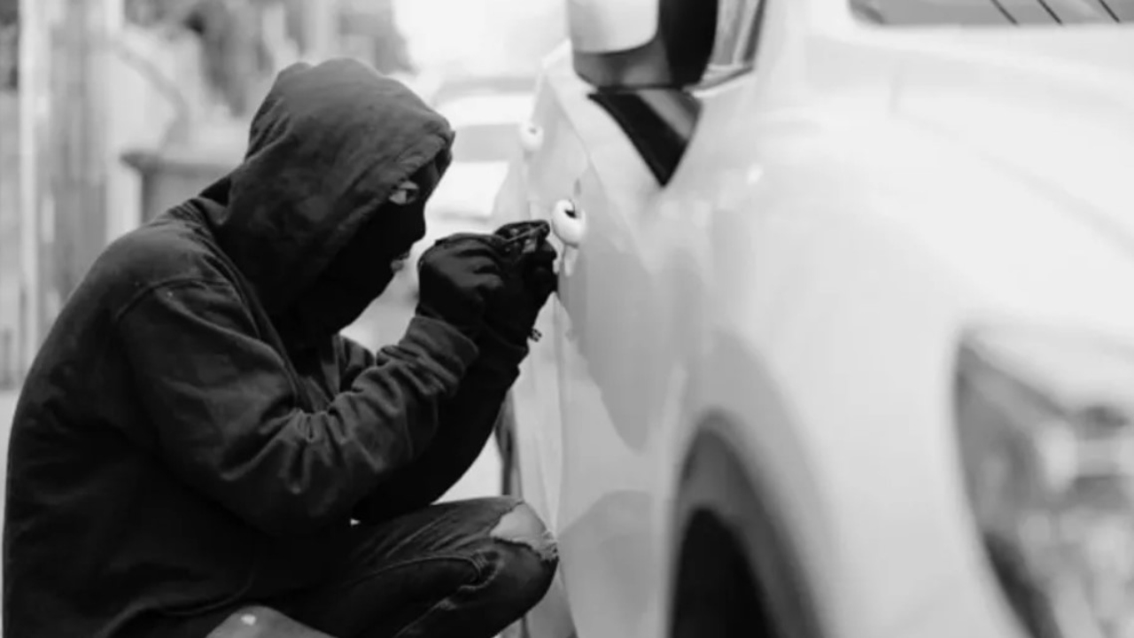¿Tu auto fue robado? Consulta la lista completa de vehículos ...