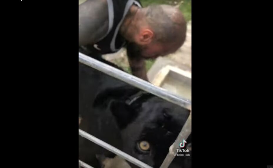 Critican a Babo, de Cartel de Santa, por video bañando a su pantera