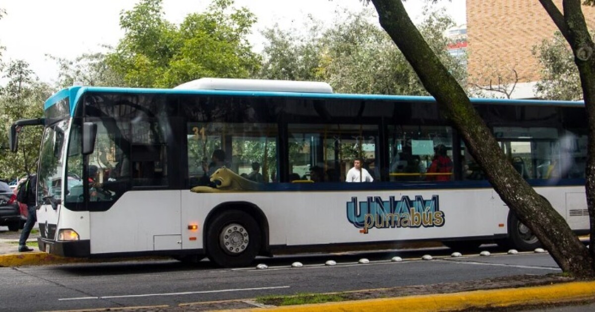 Pumabús reactiva operaciones; tiene 12 rutas en Ciudad Universitaria