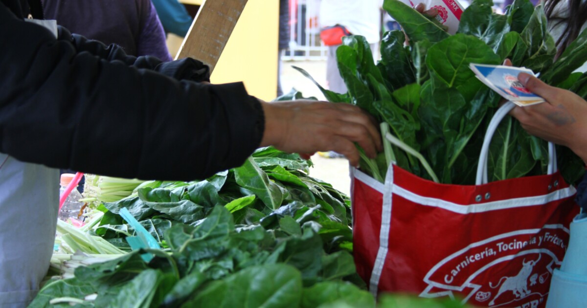 Mercado de Trueque de CDMX ¿Qué es y cuándo será?