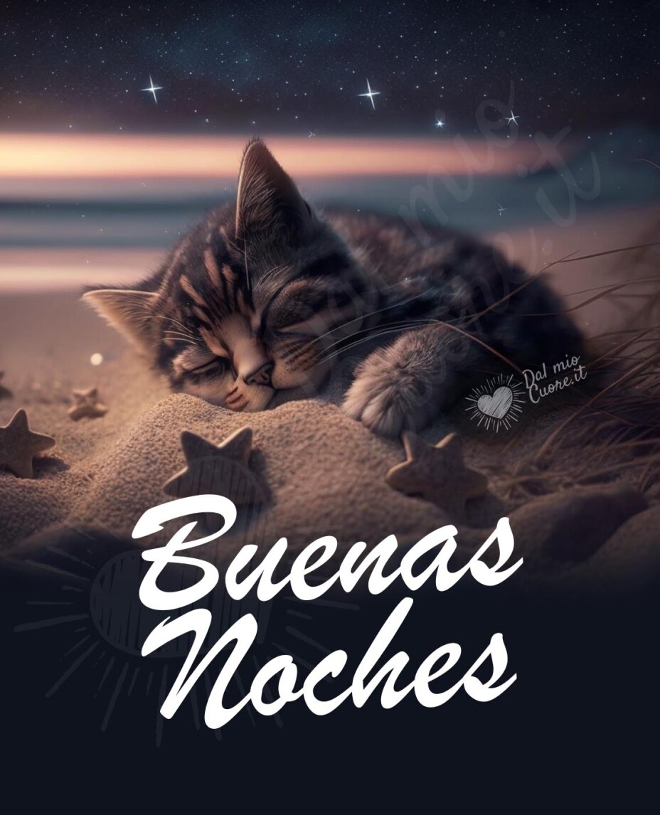 10 imágenes de buenas noches para WhatsApp bonitas