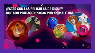 Azteca 7 | TV En Vivo, series, películas y estrenos